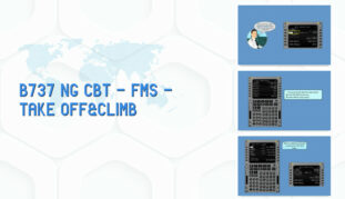 Boeing 737 Ng Type Courses – Flyco Global