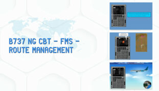 Boeing 737 Ng Type Courses – Flyco Global